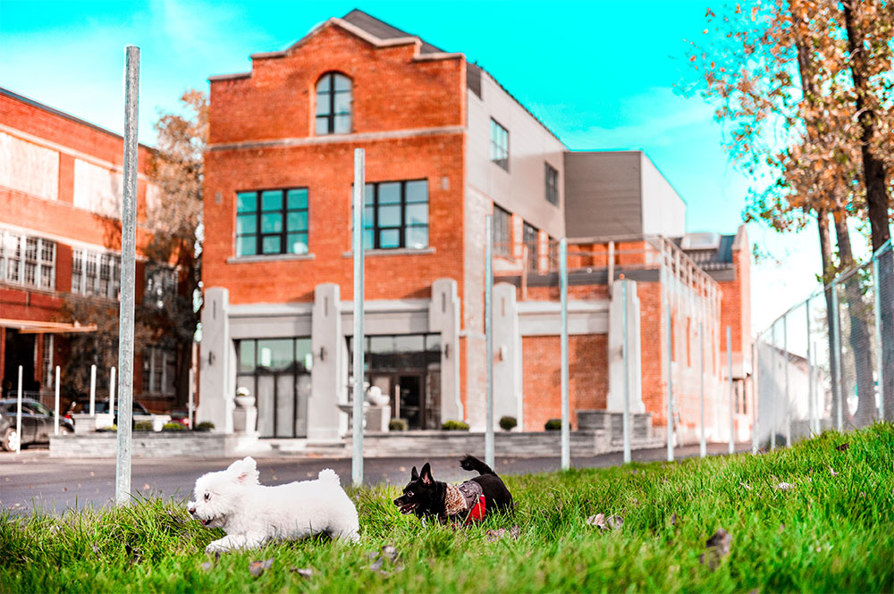 Reservations | Ruby Cafe Mtl